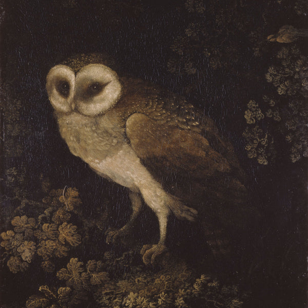 Museum Quality Art - Unique Art Prints, Canvas Art, Framed Artwork