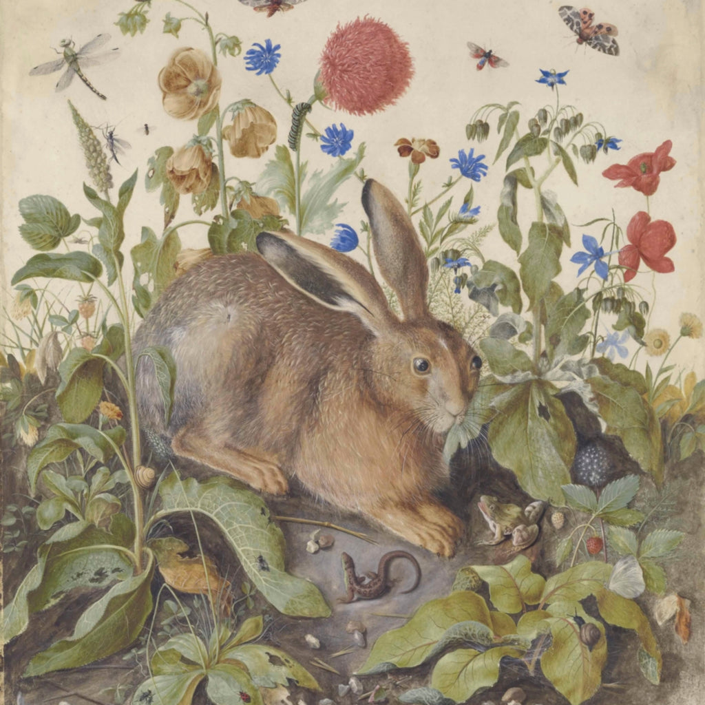A Hare among Plants - Vintage Rabbit Art Prints - Museum Quality Art
