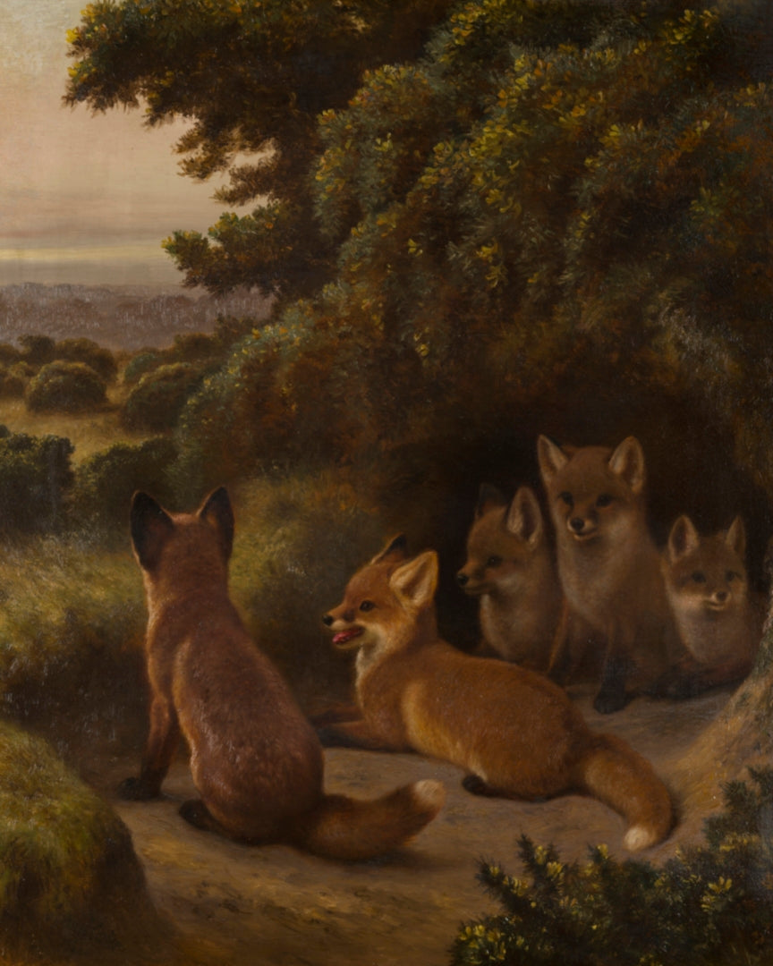 A Litter of Fox Cubs - Fox Paintings Art Prints - Museum Quality Art
