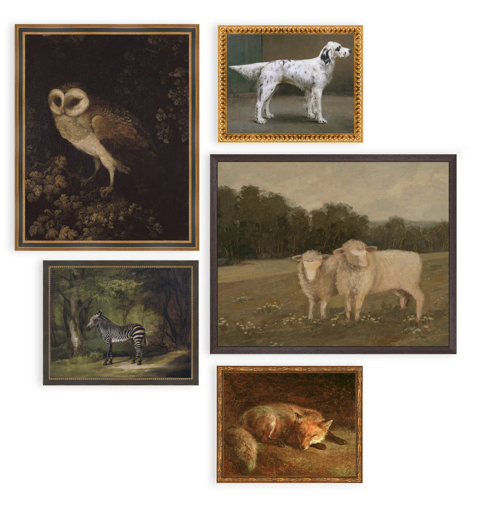 Sheep Art Prints – Museum Quality Art