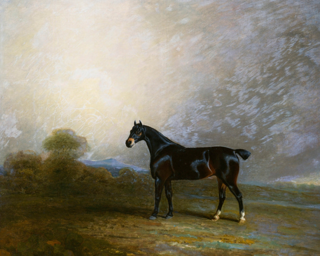 FAVORITE HUNTER | Museum Quality Art