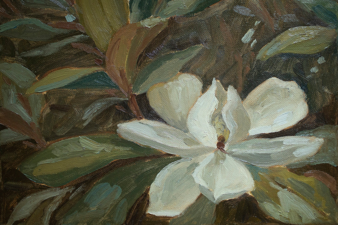 Magnolia - Ashley Ozmint Art Prints - Museum Quality Art