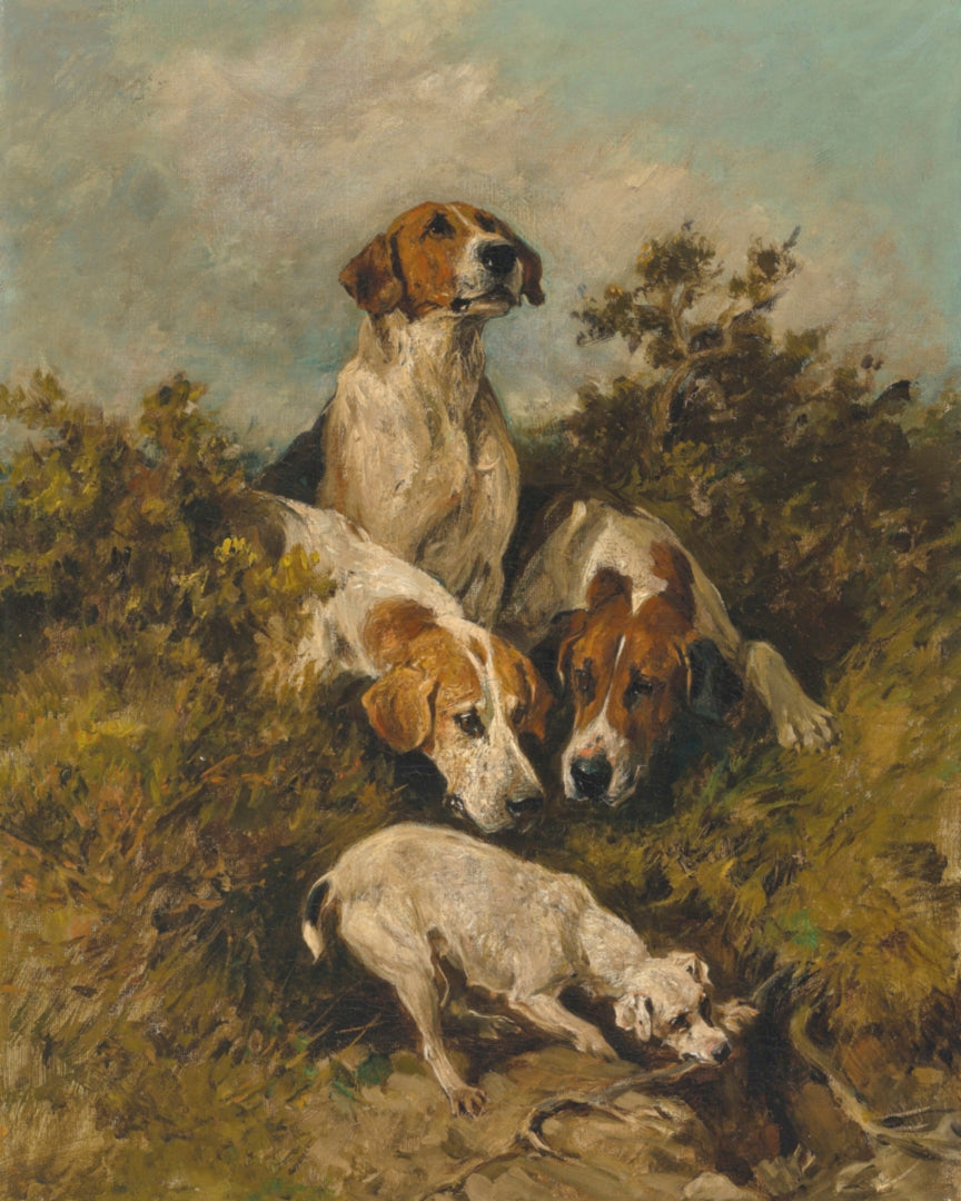 On the Scent - Vintage Hunting Dogs Art Prints - Museum Quality Art