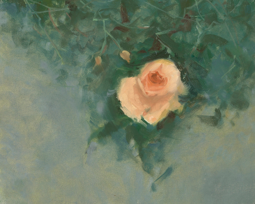 Rose - Ria Krishnan Art Prints - Museum Quality Art