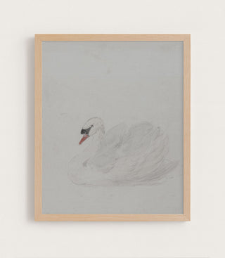 swan pictures to print