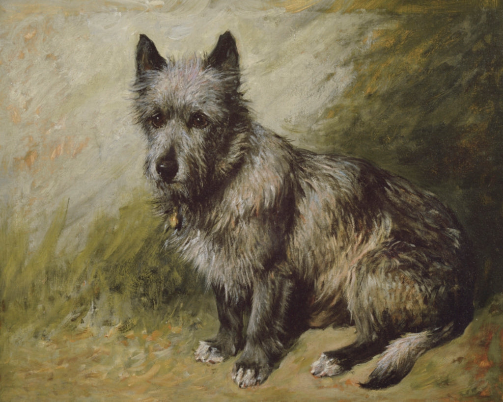 Tatters - Vintage Dog Art Prints - Museum Quality Art
