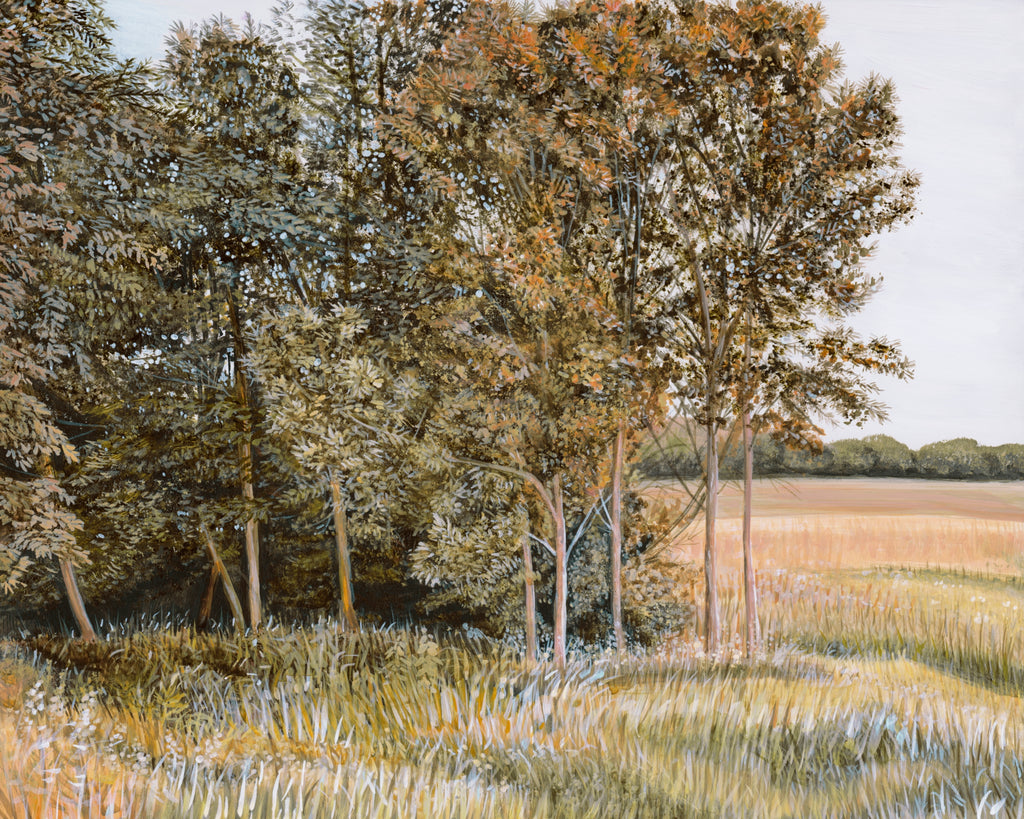 Thicket's Edge - Fall Landscape Art Prints - Museum Quality Art