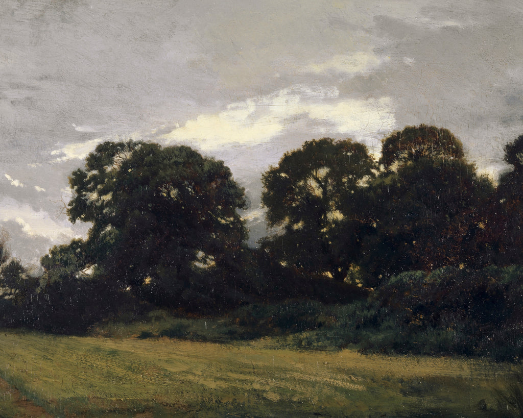 Tree Grove - Vintage Landscape Art Prints – Museum Quality Art