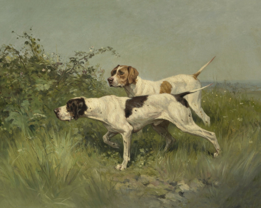 Two Pointers - Vintage Hunting Dogs Art Prints - Museum Quality Art