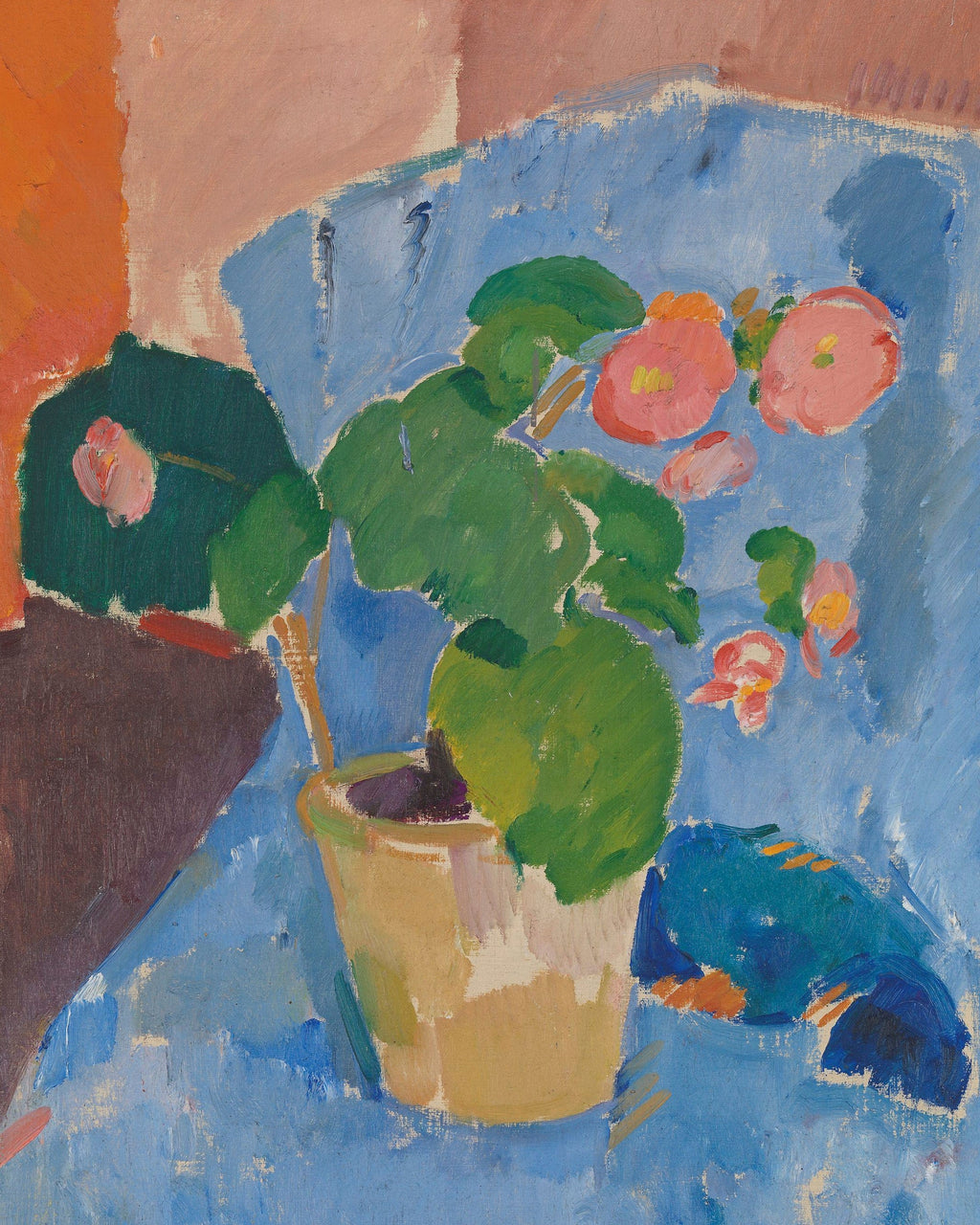 Begonia - Colorful Begonia Art Print – Museum Quality Art