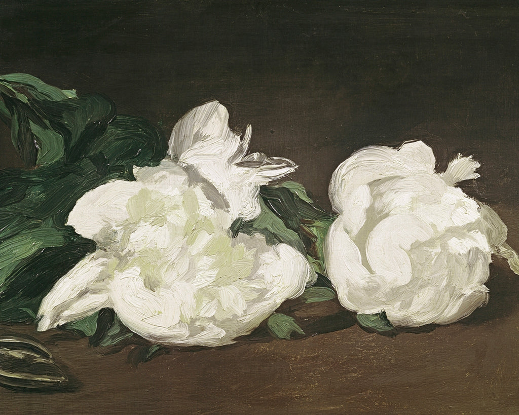 Branch of White Peonies - Edouard Manet Art Prints – Museum Quality Art
