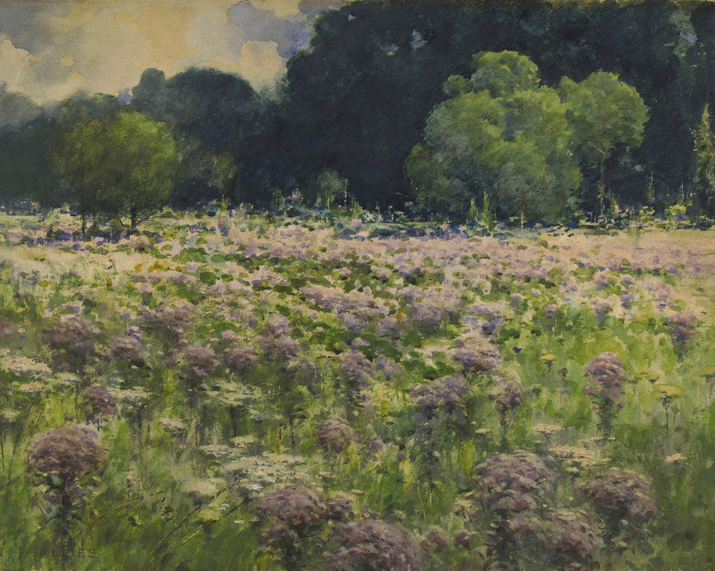 Flowering Meadow Art Print - Canvas Art – Museum Quality Art