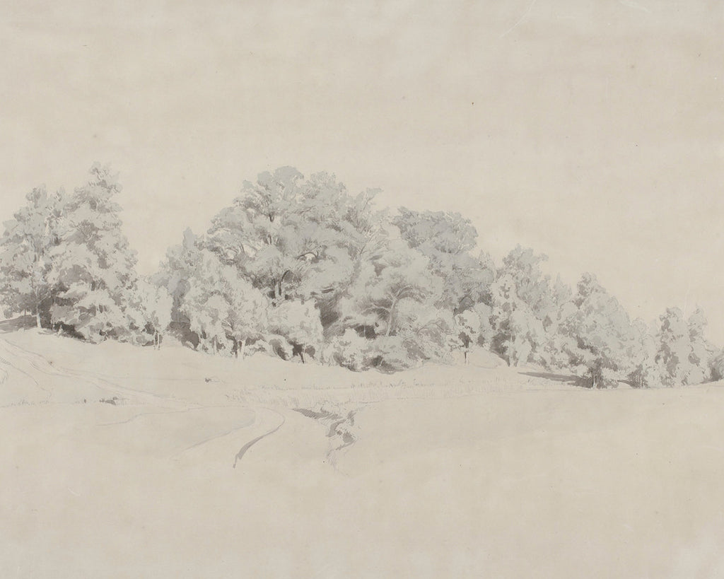 FOREST STUDY SKETCH – Museum Quality Art