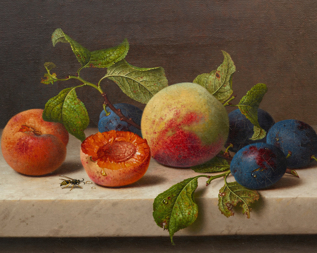 Fruit Study Art Print – Museum Quality Art