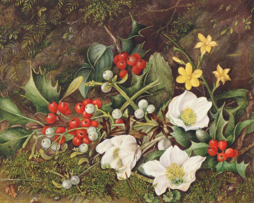 Holly & Christmas Roses - Christmas Art Prints - Shop for Prints ...