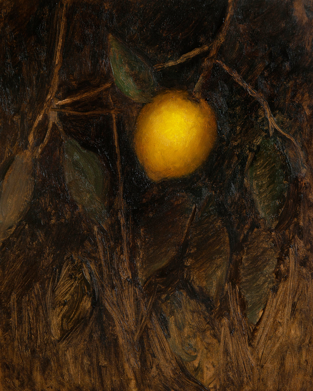 Lemon Tree Study - James Zamora Art Prints - Museum Quality Art