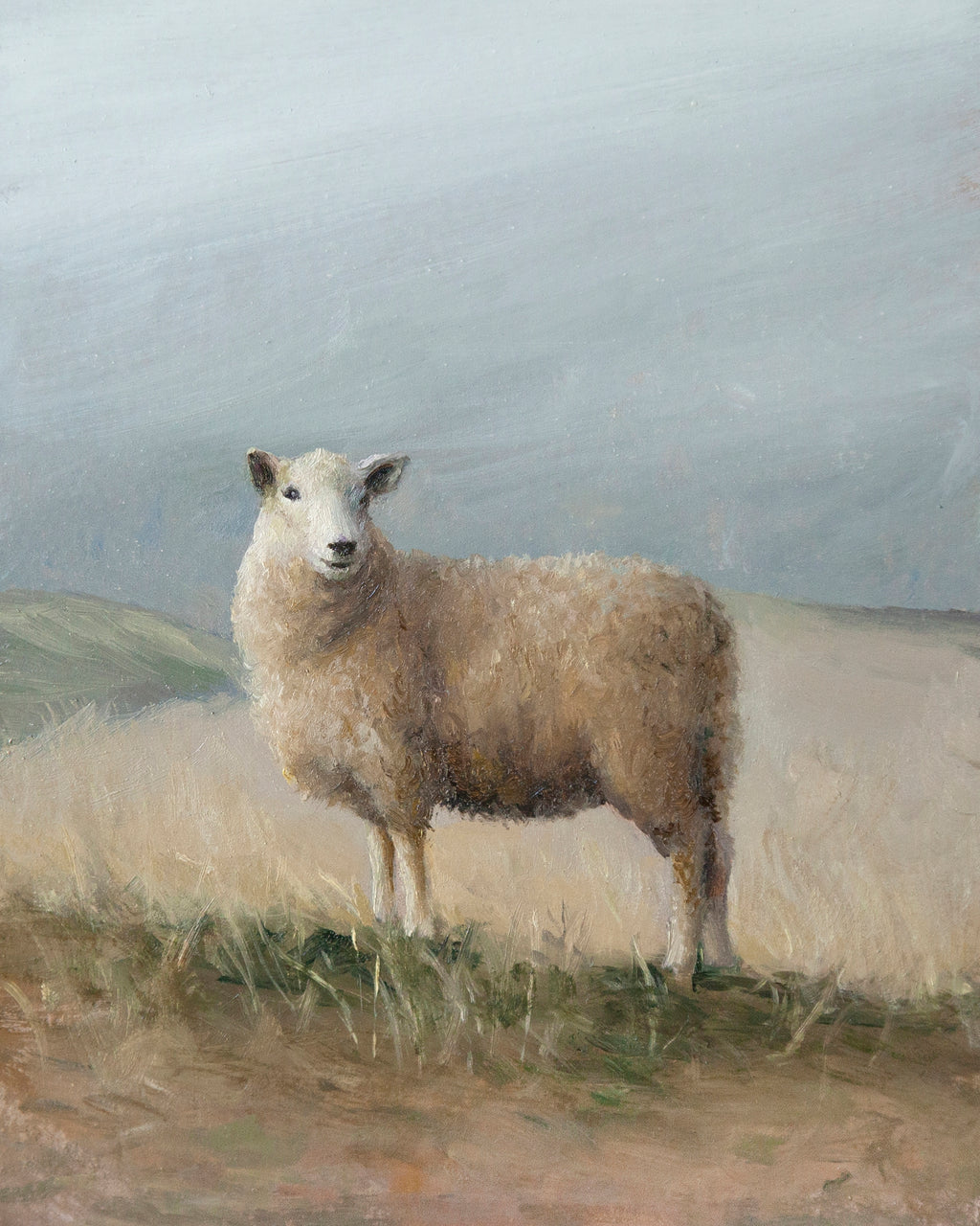 Sheep Study - Spring Floral Art Prints - Museum Quality Art