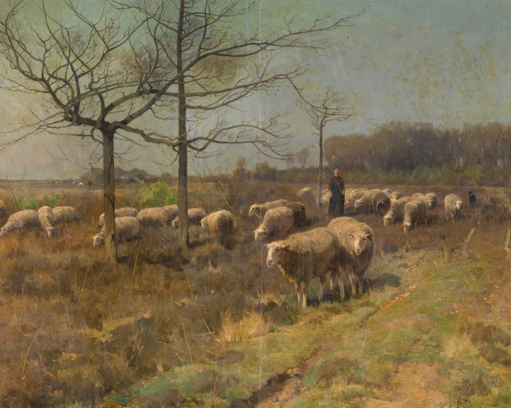 Vintage Sheep - Sheep Art Prints - Museum Quality Art